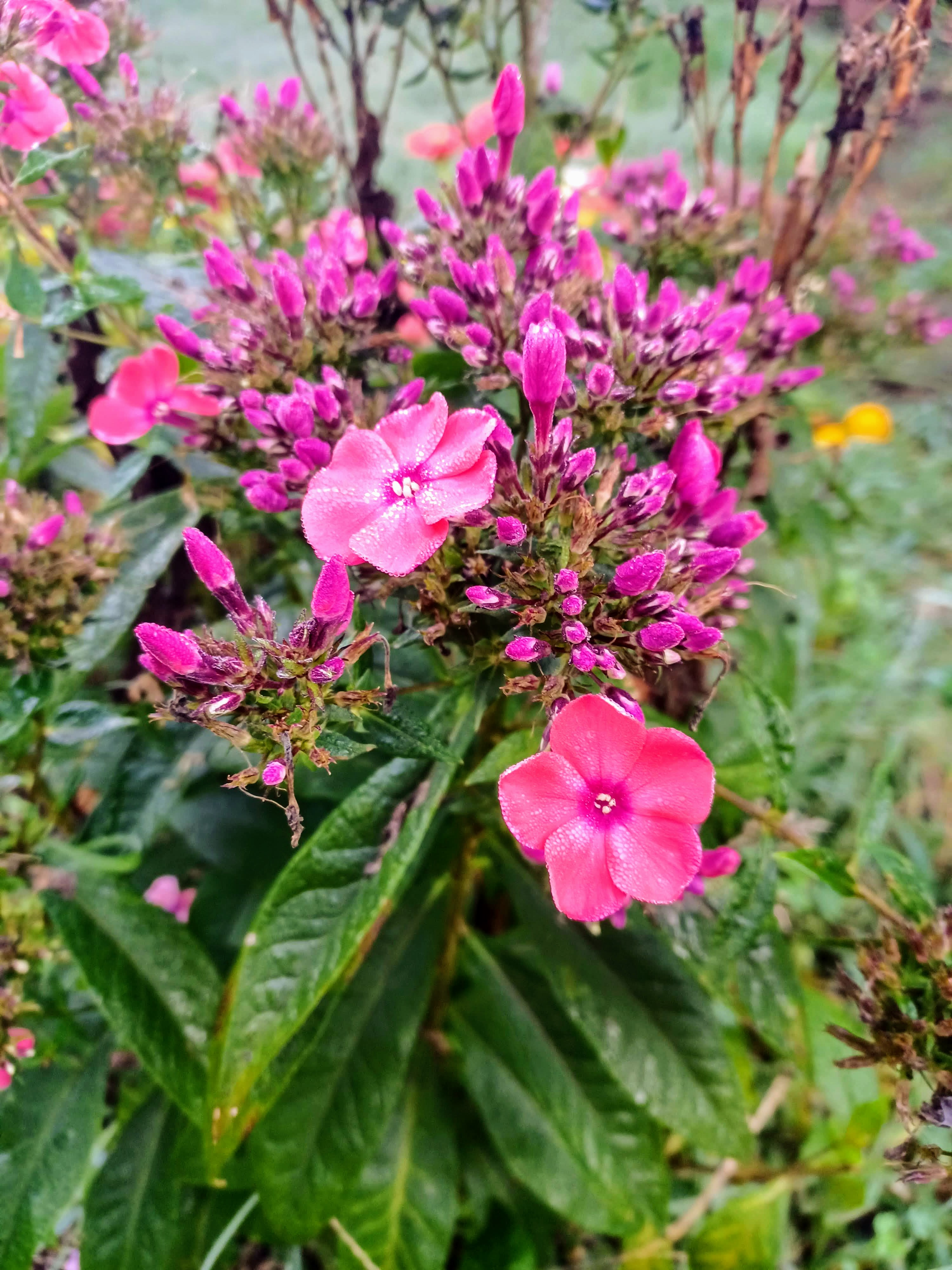 Sarah Mackey Kirby – Poet. Playwright. Scribbler. Photographer.